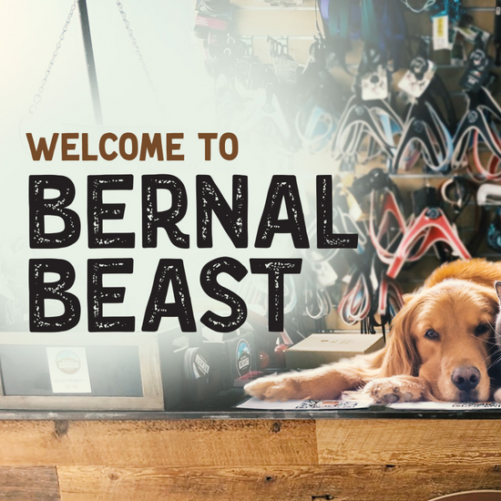 Bernal Beast